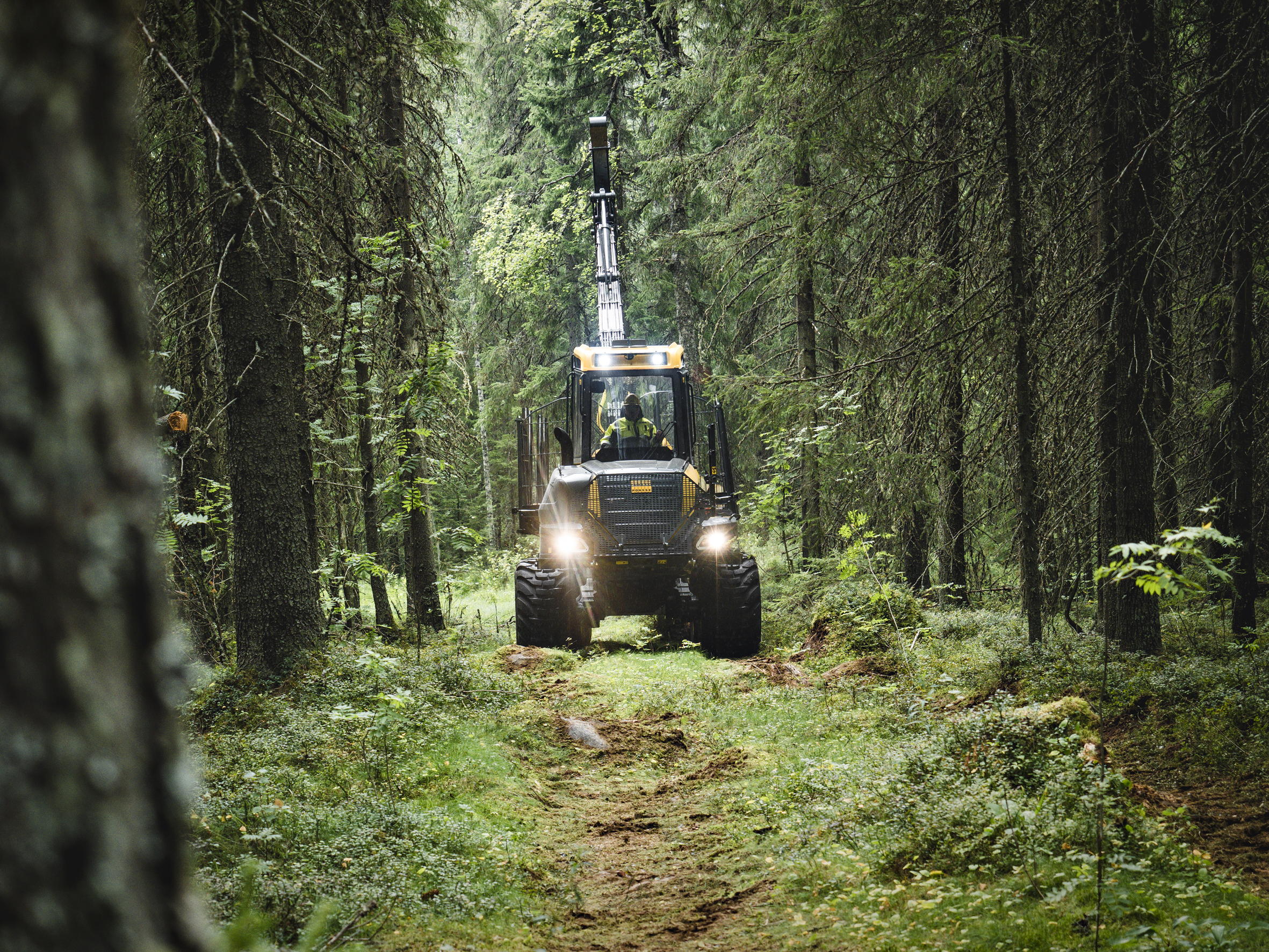 Ponsse Bison Ficha tecnica & Especificaciones (2019-2025) | LECTURA Specs