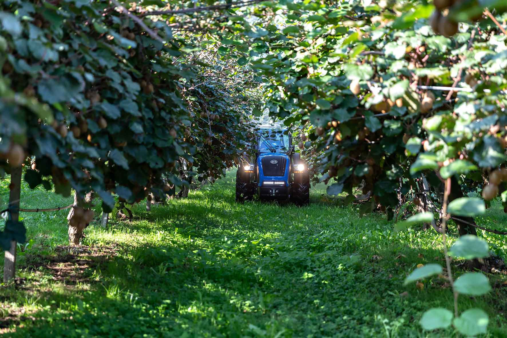 BCS Eagle 85 SDT Ficha tecnica & Especificaciones (2023-2025) | LECTURA Specs